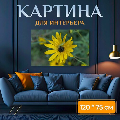 Картина на холсте "Цветок, жук, насекомое" на подрамнике 120х75 см. для интерьера