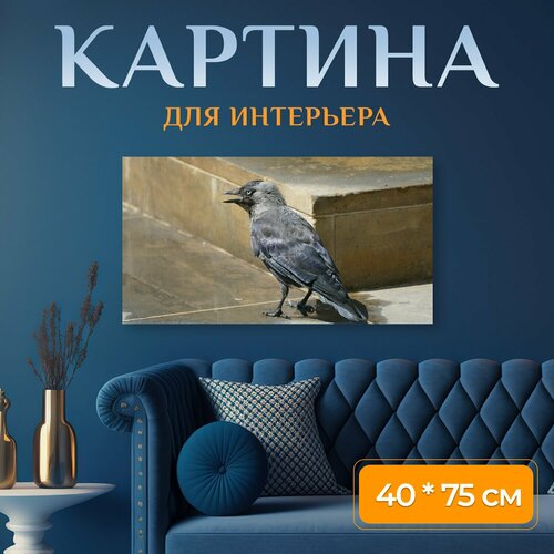 Картина на холсте "Птица, галка, чернить" на подрамнике 75х40 см. для интерьера
