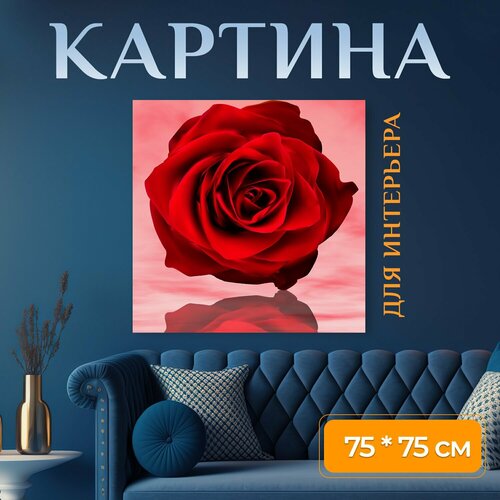 Картина на холсте "Лепесток, роза, цветок" на подрамнике 75х75 см. для интерьера