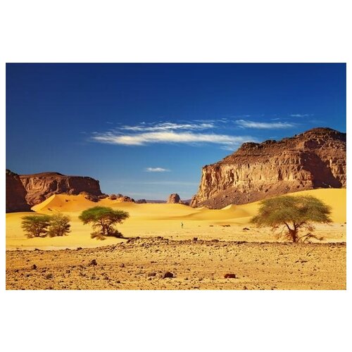 Постер на холсте Пустыня (Desert) №7 60см. x 40см.