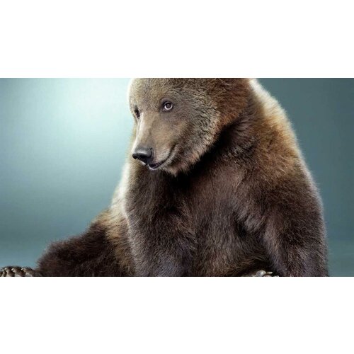 Картина на холсте 60x110 LinxOne "медведь няшка когти шерсть" интерьерная для дома / на стену / на кухню / с подрамником