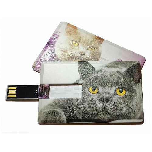 Подарочный USB-накопитель кошки оригинальная флешка пластиковая карта 64GB