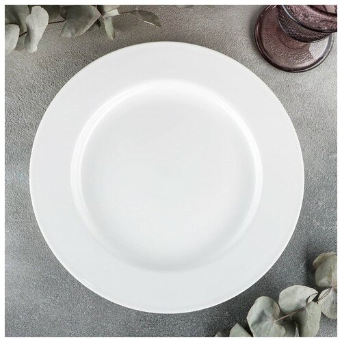 Тарелка фарфоровая обеденная Stella Pro, d=25,5 см, цвет белый