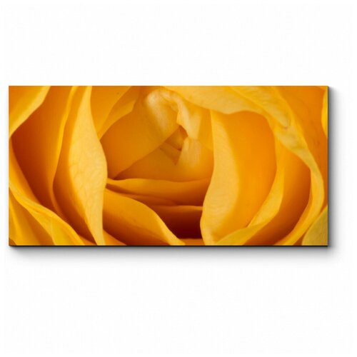 Модульная картина Солнечная роза 40x20