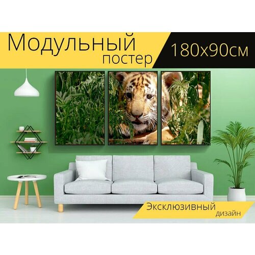 Модульный постер "Тигр, детеныш, прячется" 180 x 90 см. для интерьера