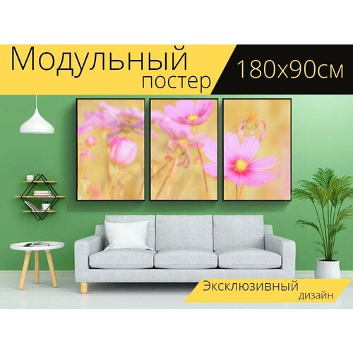 Модульный постер "Космея, цветок, цвести" 180 x 90 см. для интерьера