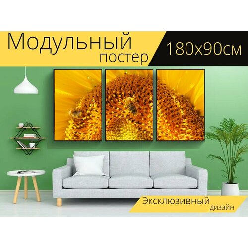 Модульный постер "Подсолнух, пчела, цвести" 180 x 90 см. для интерьера
