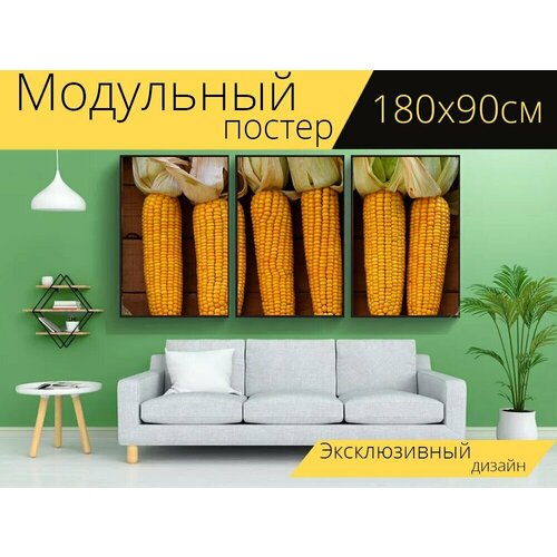 Модульный постер "Кукуруза, овощная кукуруза, кукуруза в початках" 180 x 90 см. для интерьера