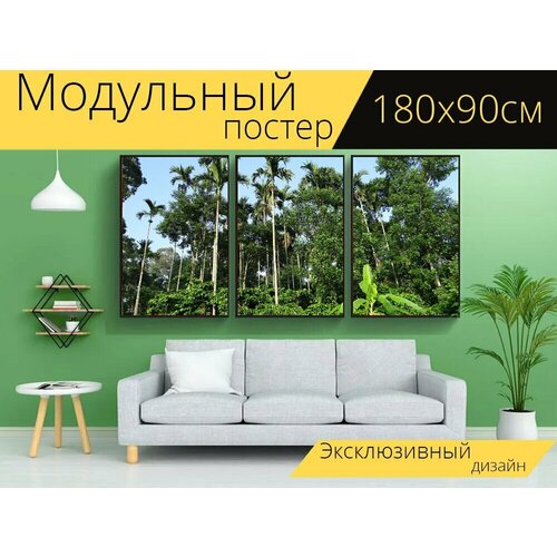 Модульный постер "Кофейная плантация, холмы, пальмы ареки" 180 x 90 см. для интерьера