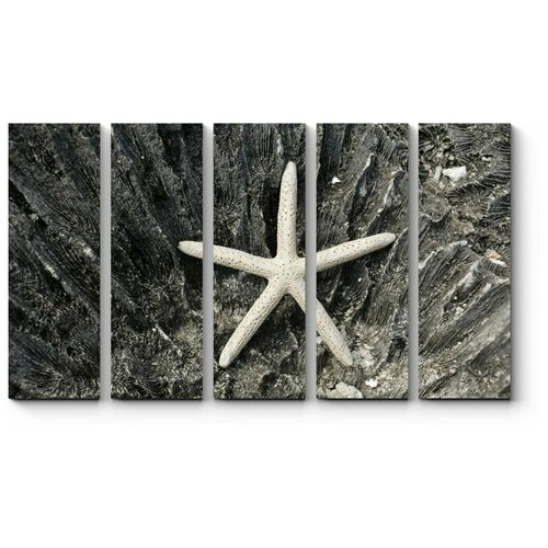 Модульная картина Морская звезда130x78