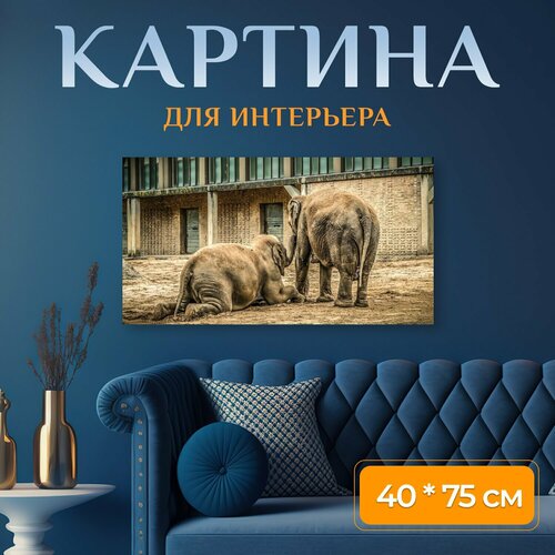 Картина на холсте "Слон, мать и ребенок, животное" на подрамнике 75х40 см. для интерьера