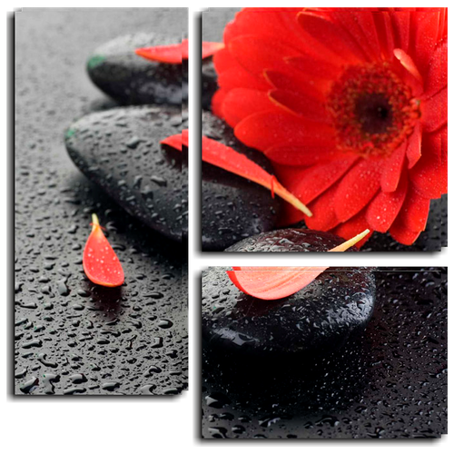 Модульная картина Красный цветок, Дзен 73х73 см