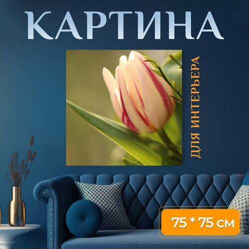 Картина на холсте "Тюльпан, полосатый, размытый" на подрамнике 75х75 см. для интерьера