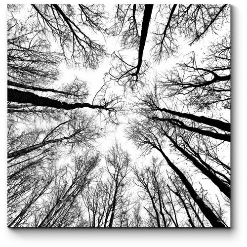Модульная картина Осенний лес 100x100