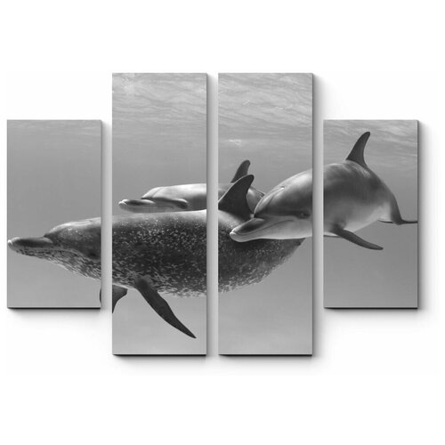 Модульная картина Трио пятнистых дельфинов170x128