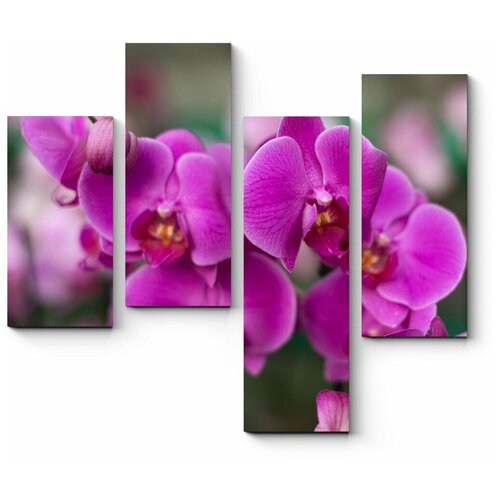 Модульная картина Прекрасные и нежные орхидеи 84x79