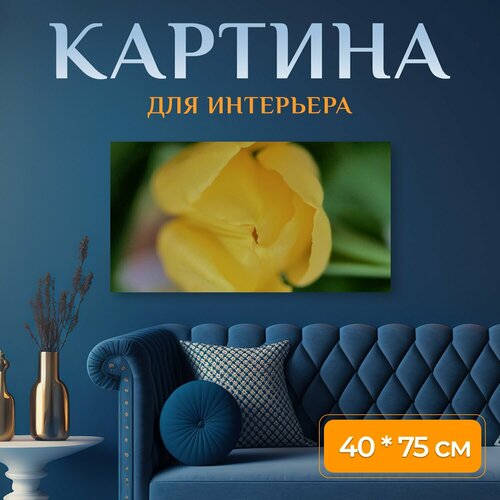 Картина на холсте "Цветок, тюльпан, весна" на подрамнике 75х40 см. для интерьера