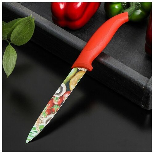 Нож кухонный с антиналипающим покрытием Доляна «Урожай» универсальный, лезвие 12,5 см