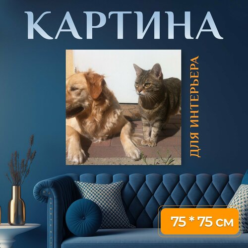 Картина на холсте "Собака, кошка, животные" на подрамнике 75х75 см. для интерьера