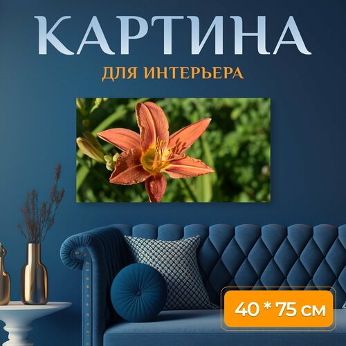 Картина на холсте "Лилейник, оранжевый, цветок" на подрамнике 75х40 см. для интерьера