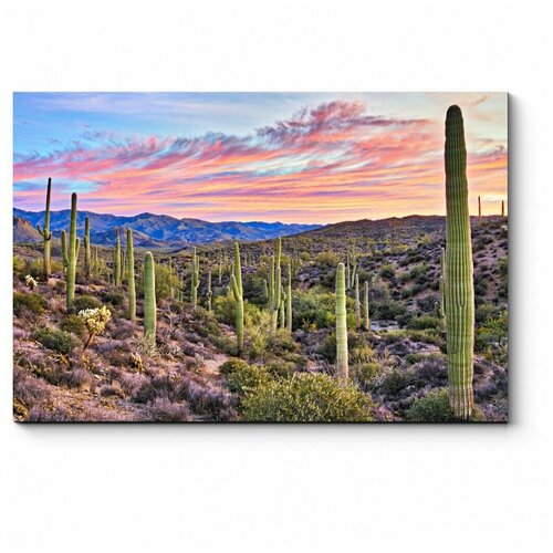 Модульная картина Закат в пустыне Соноран 50x33