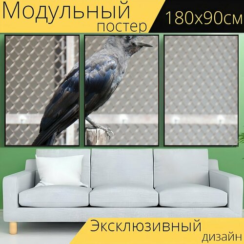 Модульный постер "Животное, птица, дикая птица" 180 x 90 см. для интерьера