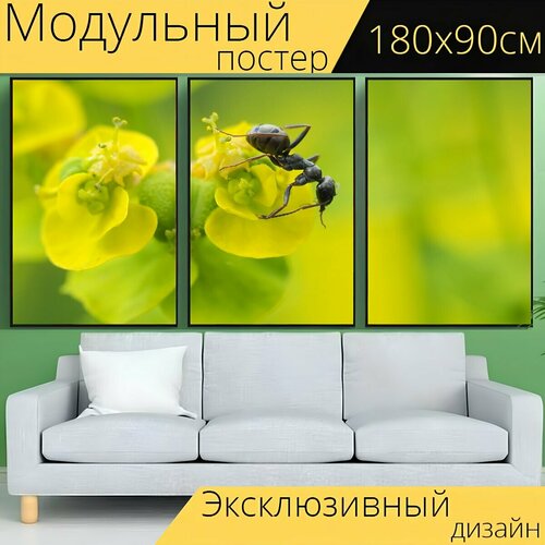 Модульный постер "Муравей, расцветает, насекомое" 180 x 90 см. для интерьера