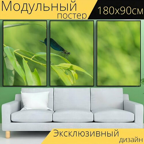 Модульный постер "Бабочка, насекомое, макрос" 180 x 90 см. для интерьера
