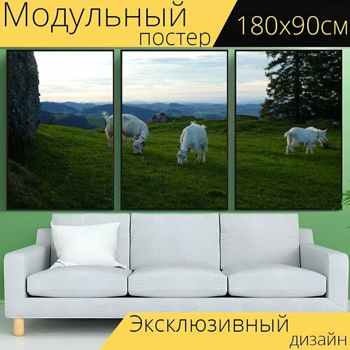 Модульный постер "Козы, трава, сельское хозяйство" 180 x 90 см. для интерьера