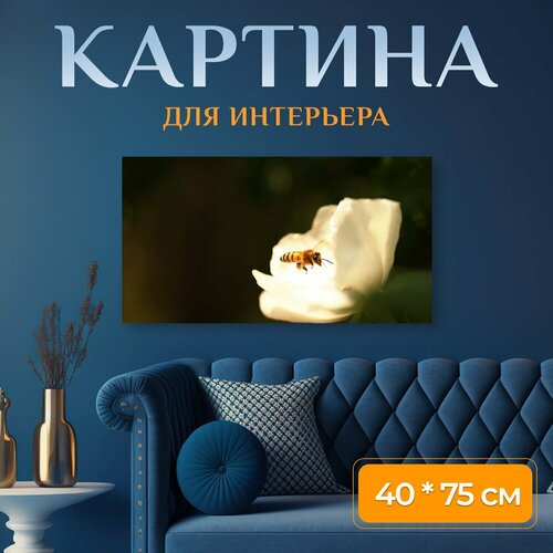 Картина на холсте "Цветок, лепестки, пчела" на подрамнике 75х40 см. для интерьера