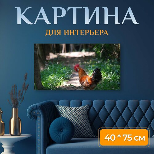 Картина на холсте "Петух, курица, животное" на подрамнике 75х40 см. для интерьера