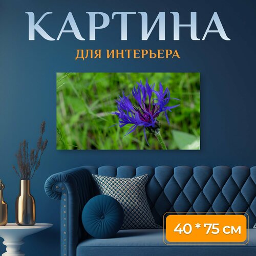 Картина на холсте "Васильковый, цветок, синий" на подрамнике 75х40 см. для интерьера