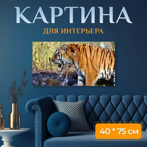 Картина на холсте "Тигр, большой кот, хищник" на подрамнике 75х40 см. для интерьера