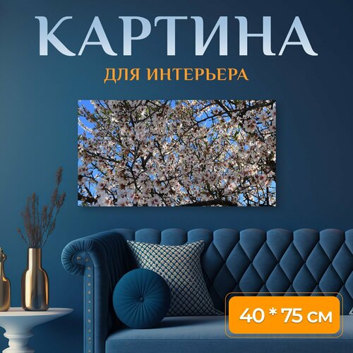 Картина на холсте "Цветы миндаля, миндальное дерево, цветы" на подрамнике 75х40 см. для интерьера