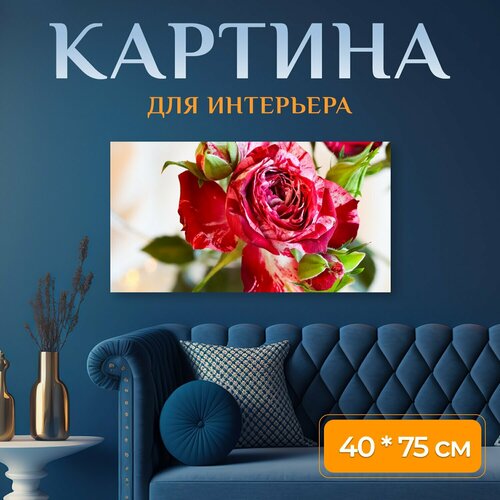 Картина на холсте "Роза, цветок, цветочный" на подрамнике 75х40 см. для интерьера
