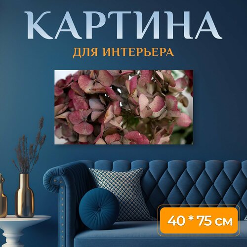 Картина на холсте "Гортензия, сухой цветок, сушеный" на подрамнике 75х40 см. для интерьера
