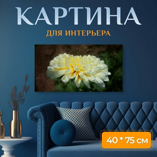 Картина на холсте "Цветок, белый, весна" на подрамнике 75х40 см. для интерьера