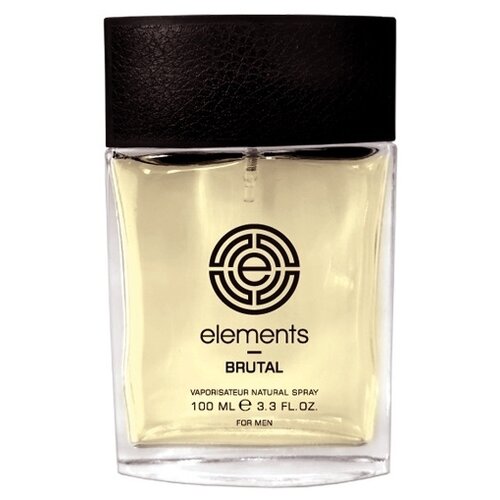 Today Parfum туалетная вода Elements Brutal, 100 мл