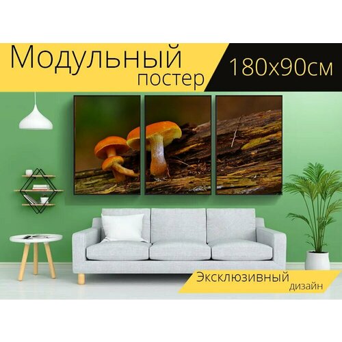Модульный постер "Природа, лес, грибы" 180 x 90 см. для интерьера