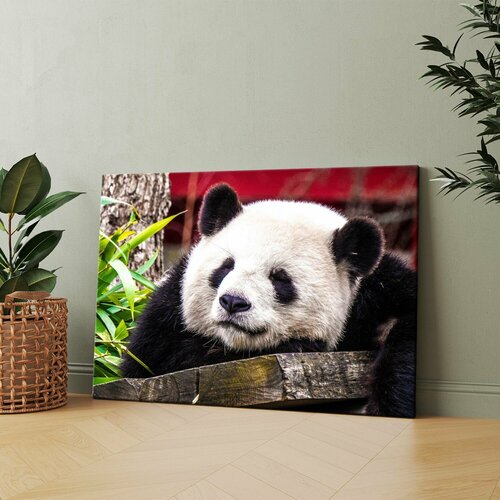 Картина на холсте (Панда сидит на деревянном заборе) 50x70 см. Интерьерная, на стену.