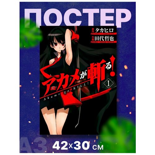 Постер аниме "Убийца Акамэ, Акаме", А3, 42х30 см