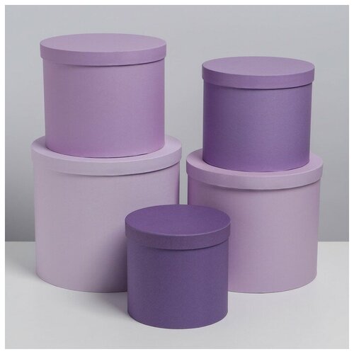 Набор коробок 5 в 1 «Фиолетовый», 13 × 14‒19.5 × 22 см