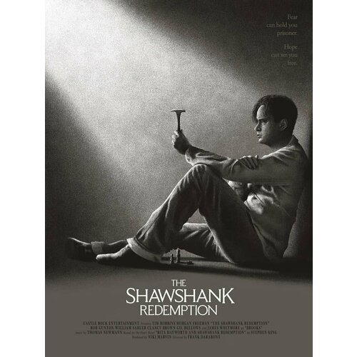 Плакат, постер на холсте Побег из Шоушенка (The Shawshank Redemption, 1994г). Размер 30 х 42 см