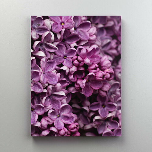 Интерьерная картина на холсте "Цветы сирени" растения, размер 22x30 см