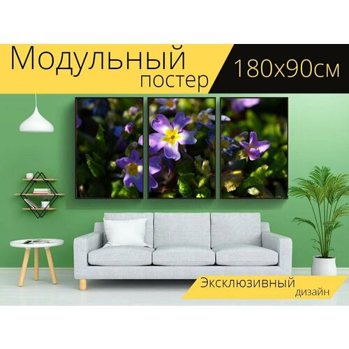 Модульный постер "Цветок, расцветает, анютины глазки" 180 x 90 см. для интерьера
