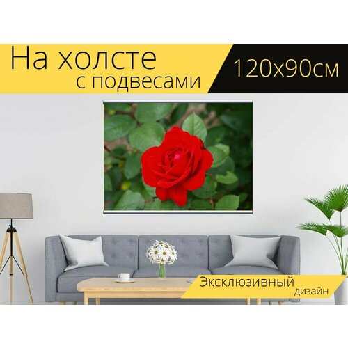 Картина на холсте "Роза, розы, цветок" с подвесами 120х90 см. для интерьера
