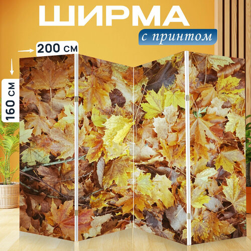 Ширма перегородка с принтом "Осень, лист, природа" на холсте - 200x160 см. для зонирования, раскладная
