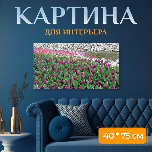 Картина на холсте "Цветы, растения, фиолетовый" на подрамнике 75х40 см. для интерьера