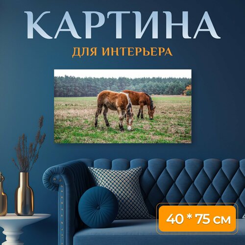 Картина на холсте "Лошадь, лошади, природа" на подрамнике 75х40 см. для интерьера