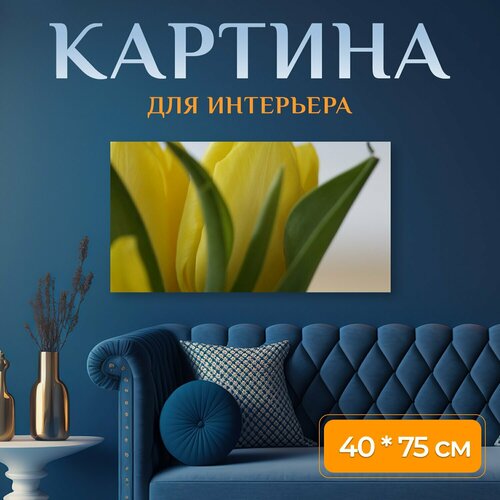 Картина на холсте "Тюльпаны, желтый, цветок" на подрамнике 75х40 см. для интерьера